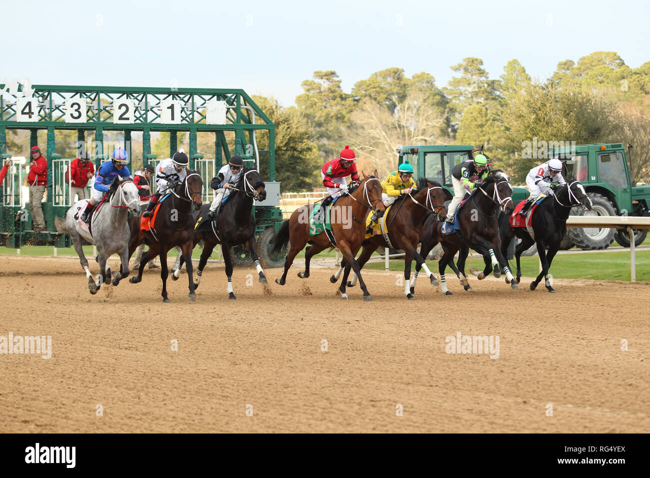 Hot Spring, AR, USA. 25th Jan, 2019. January 25, 2019: The horses ...