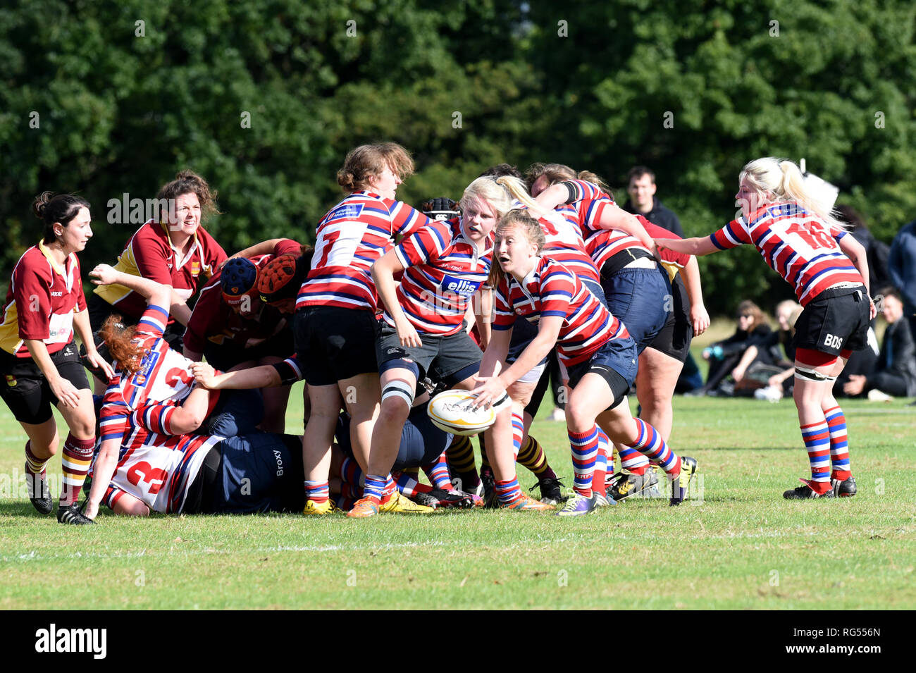 Female scrum half passes the ball from a scrum hi-res stock photography ...