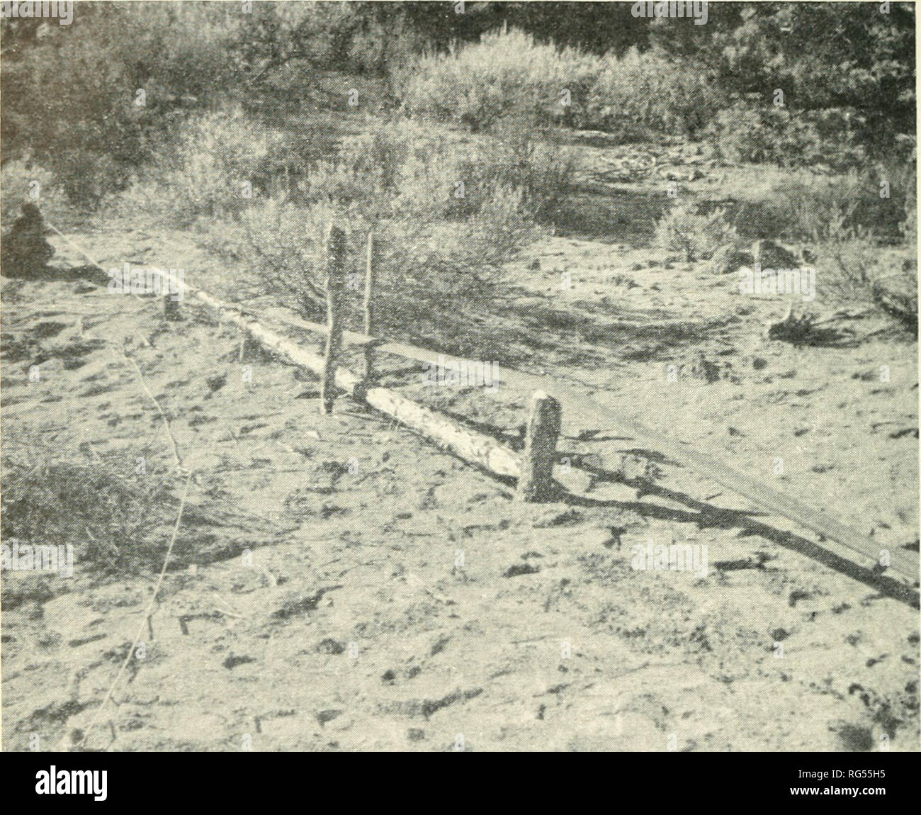 William slack hi-res stock photography and images - Alamy