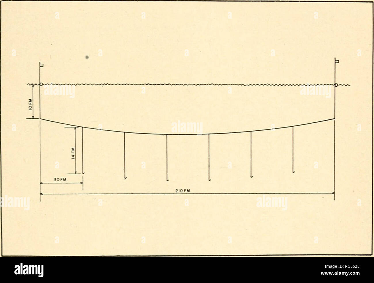 Longline fishing and birds hi-res stock photography and images - Alamy