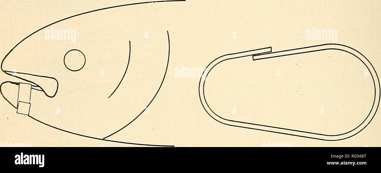 Jaw evaluation hi-res stock photography and images - Alamy