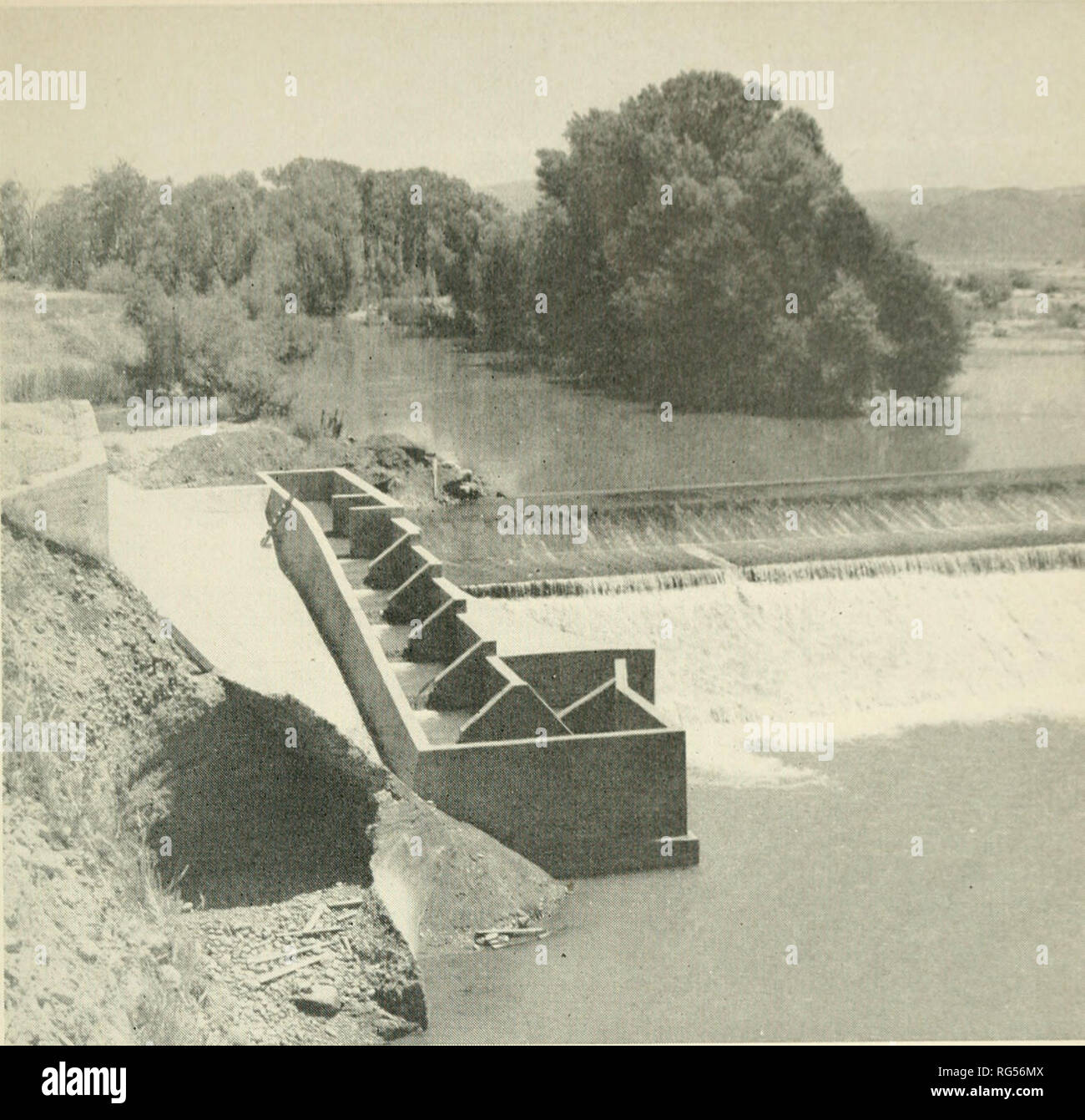 Fishways salmon hi-res stock photography and images - Alamy