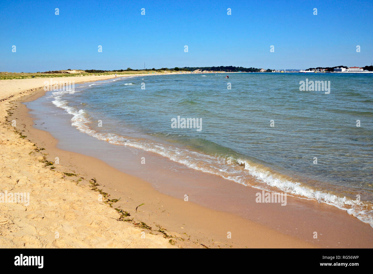 Shell bay dorset hi-res stock photography and images - Alamy