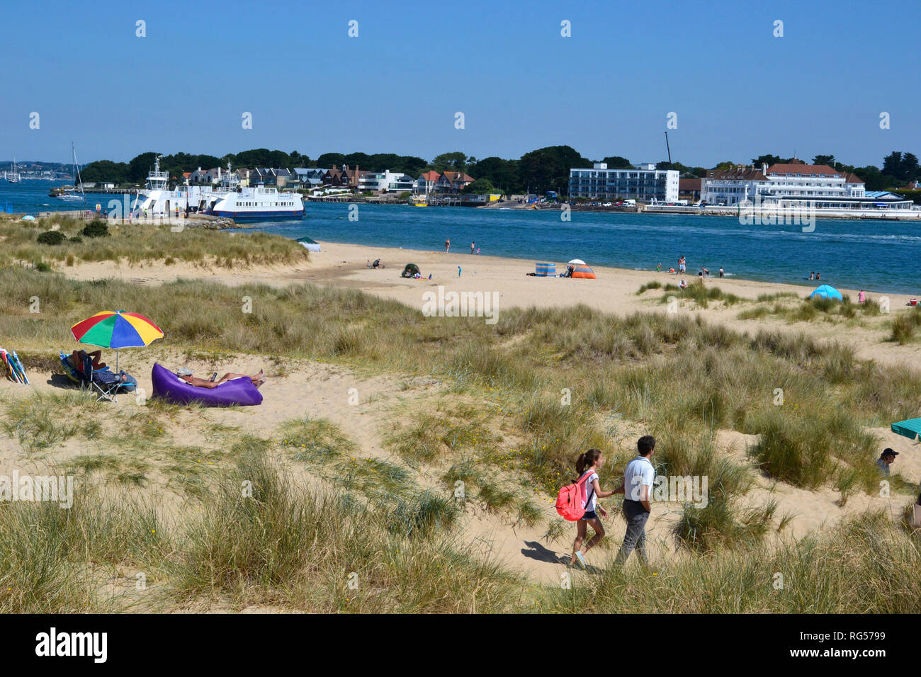 Shell bay beach studland isle hi-res stock photography and images - Alamy