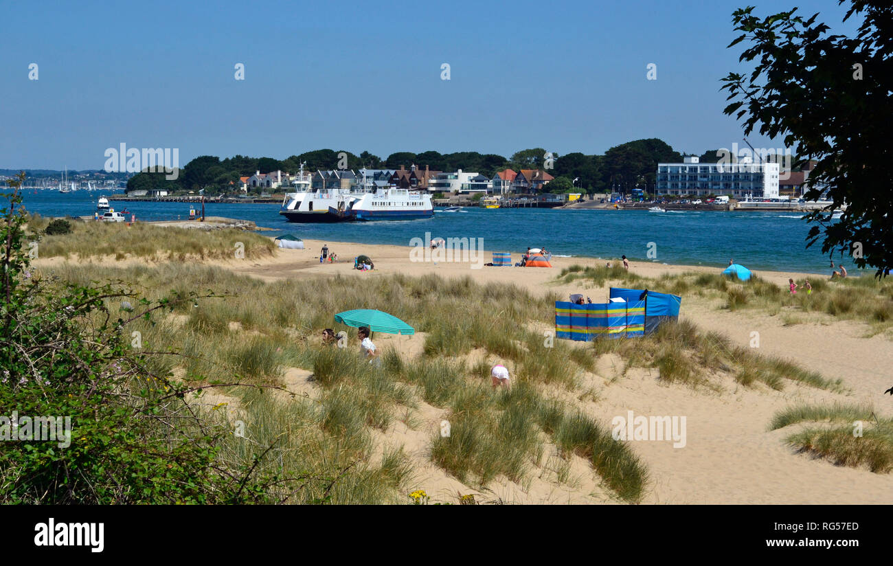 Shell Bay, Swanage, Isle of Purbeck, Dorset, England, UK Stock Photo ...