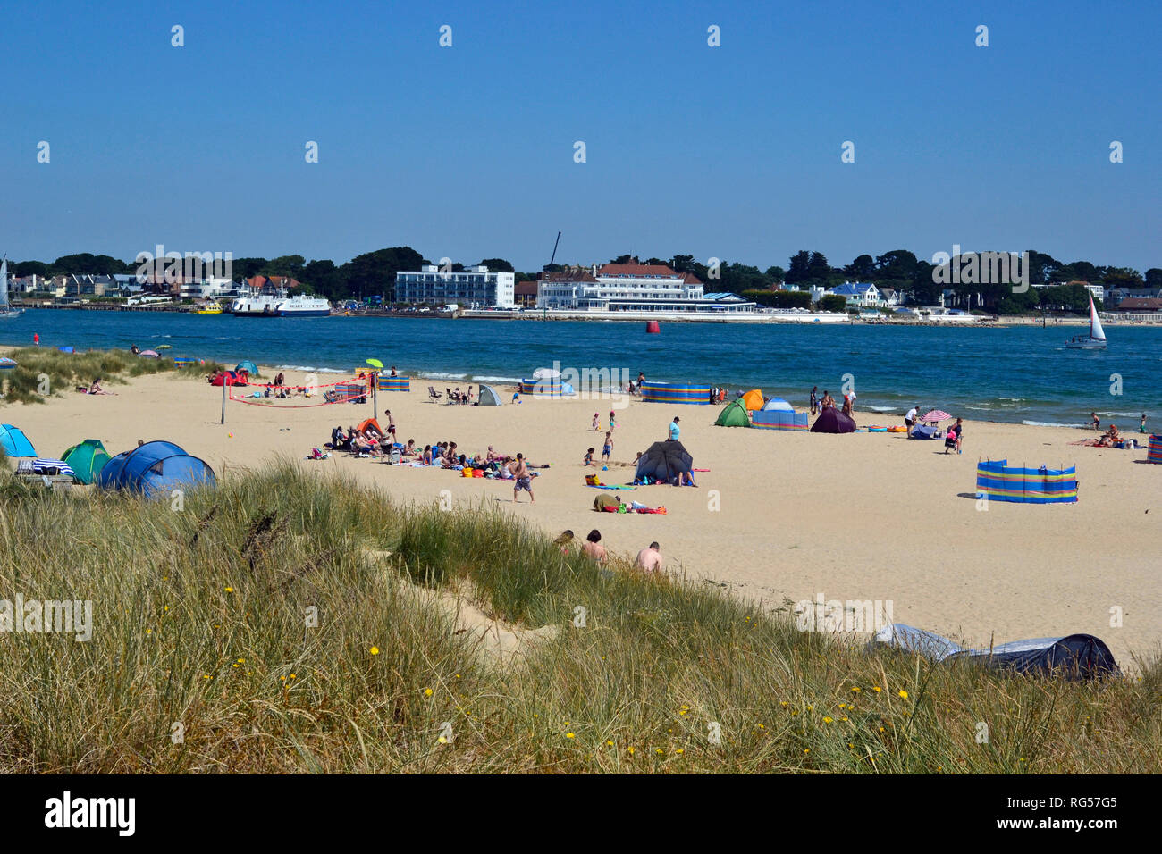 Shell bay beach studland isle hi-res stock photography and images - Alamy