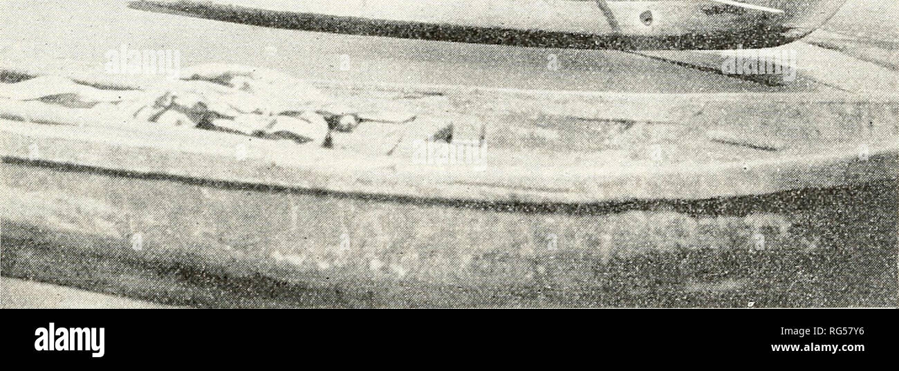 Totuava hi-res stock photography and images - Alamy