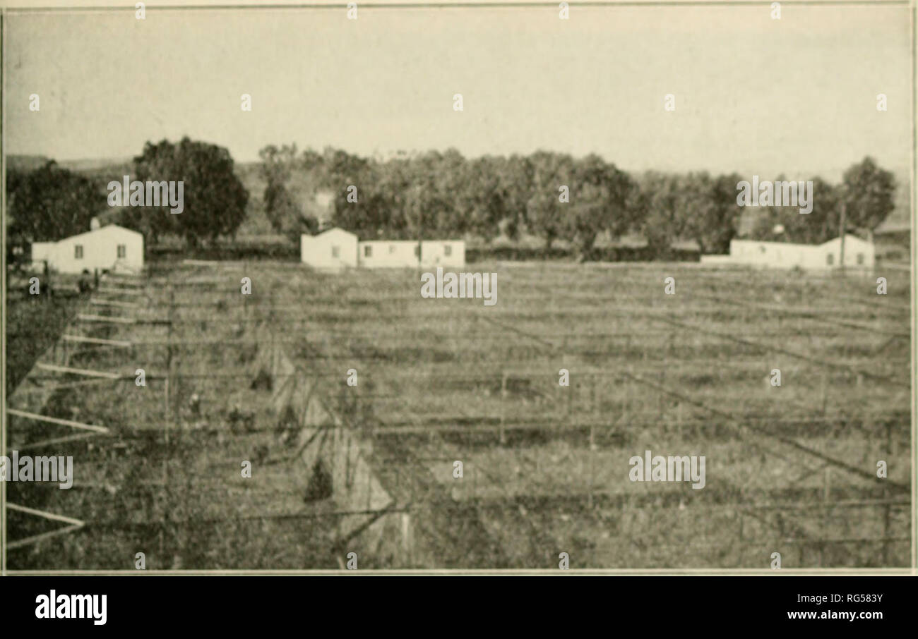 Game rearing pens hi-res stock photography and images - Alamy