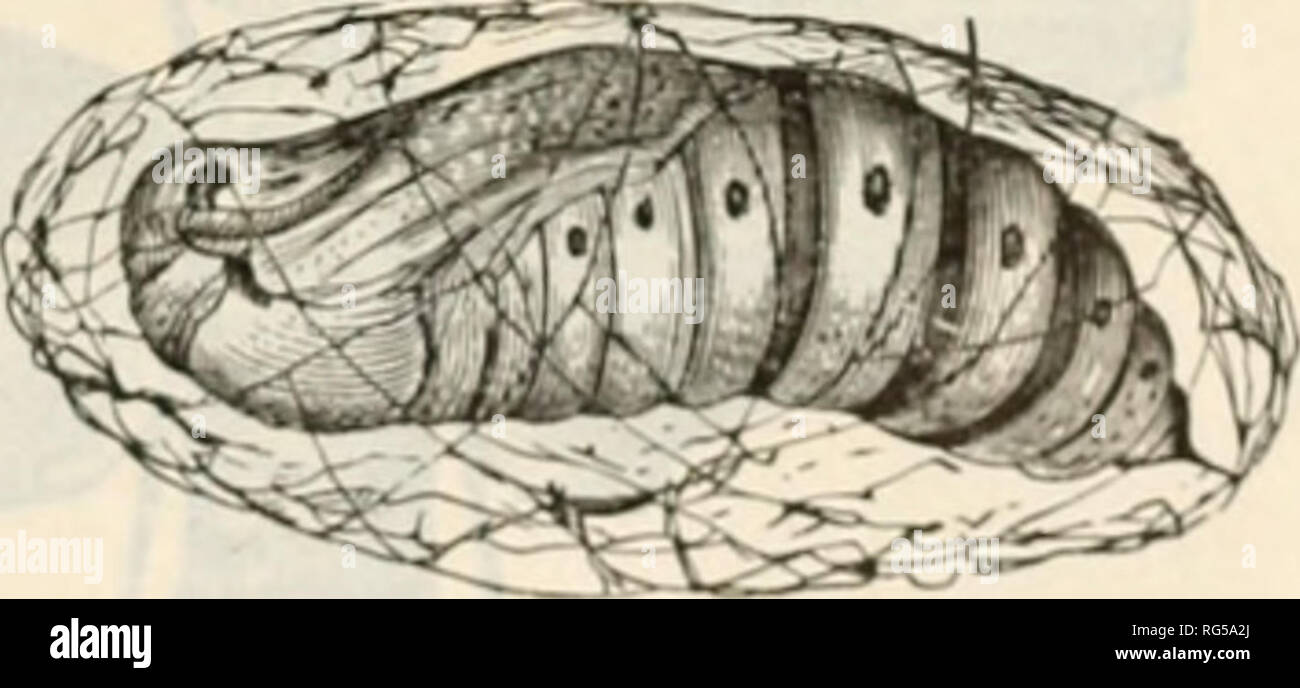 Guide de cycle hi-res stock photography and images - Alamy