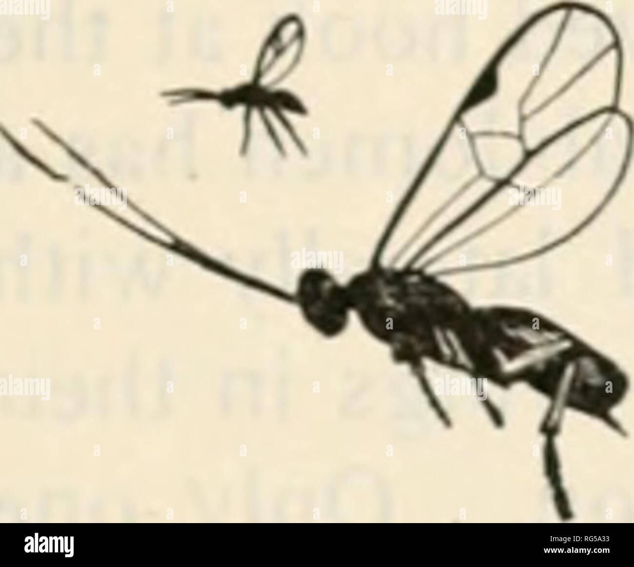 Guide de cycle hi-res stock photography and images - Alamy