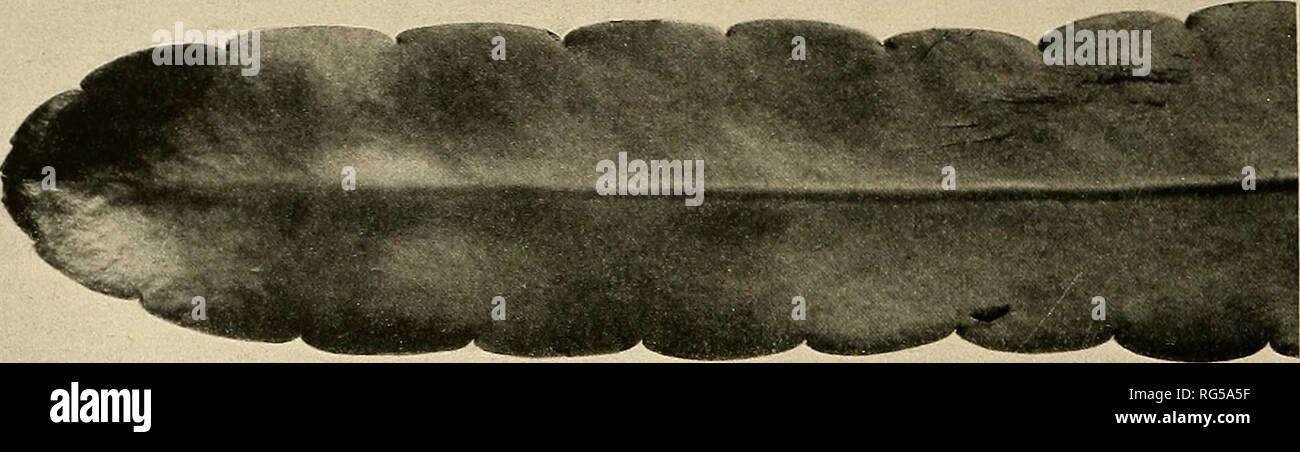 462 3 cm hi-res stock photography and images - Alamy