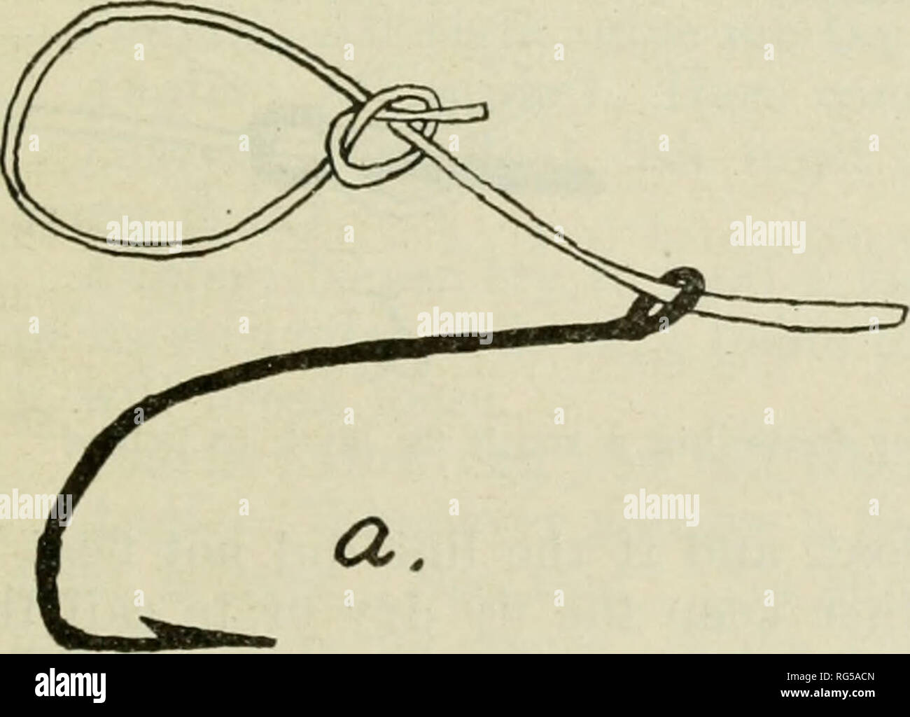 Proper knot hi-res stock photography and images - Alamy