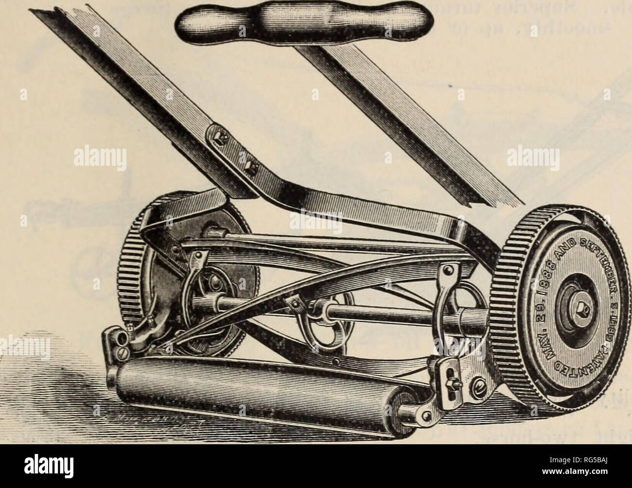 Possessed vegetables hi-res stock photography and images - Alamy