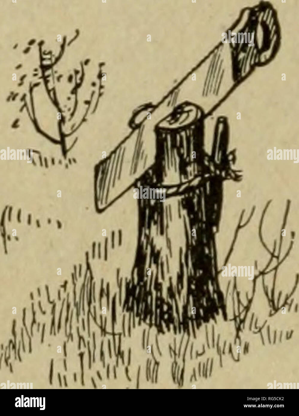. Buzzacott's masterpiece;. Hunting; Camping; Trapping. [from old ...