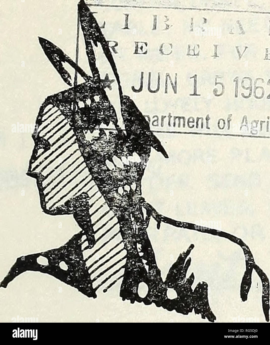 Peyote button hi-res stock photography and images - Alamy