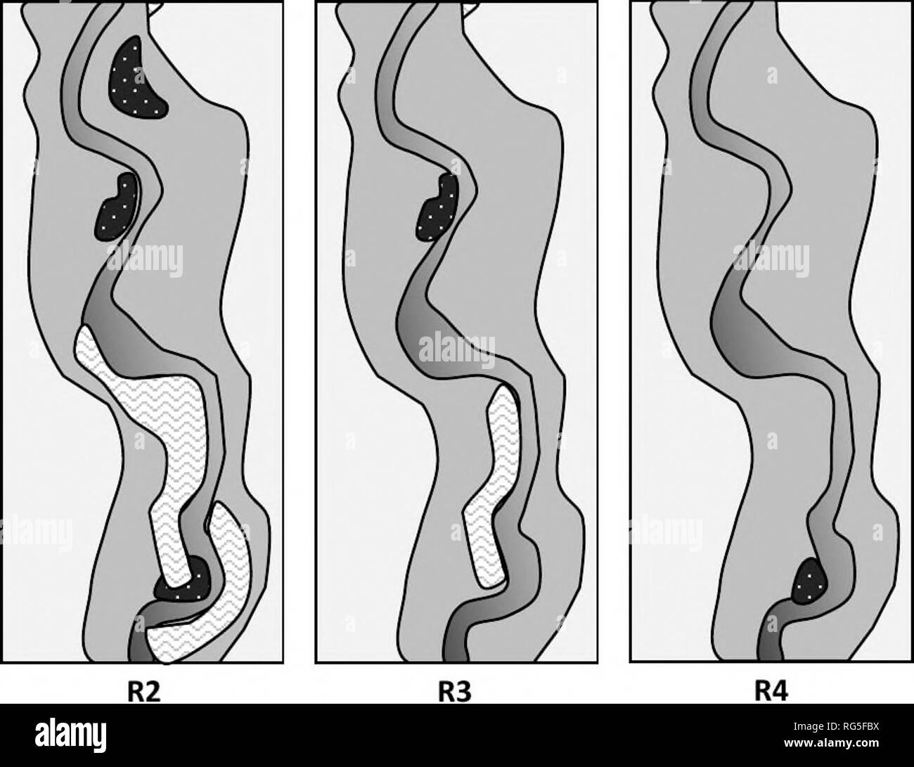 . Assessing the natural range of variability in minimally disturbed ...
