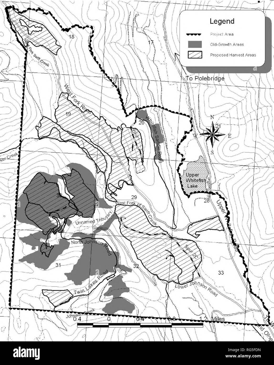 Logging old growth Black and White Stock Photos & Images - Alamy