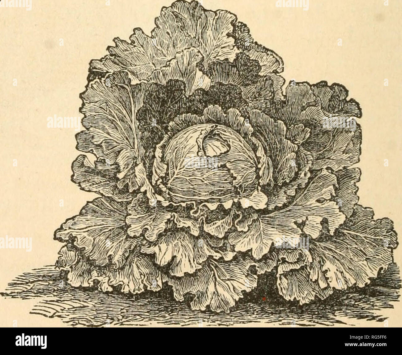 Nearly two thousand years old hi-res stock photography and images - Alamy