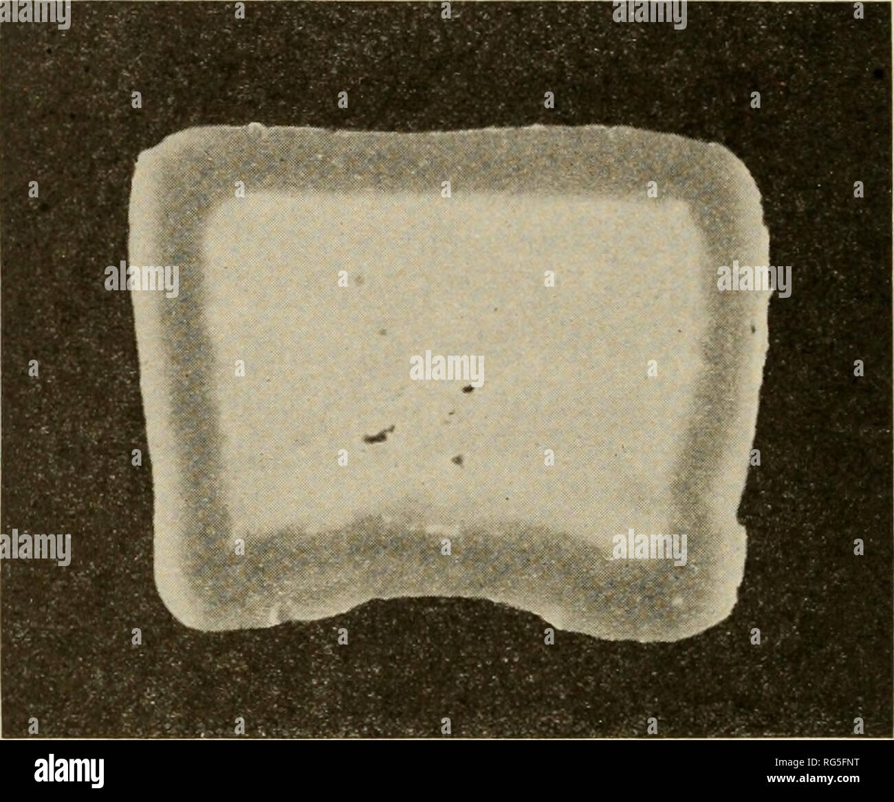 . The butter industry, prepared for the use of creameries, dairy ...