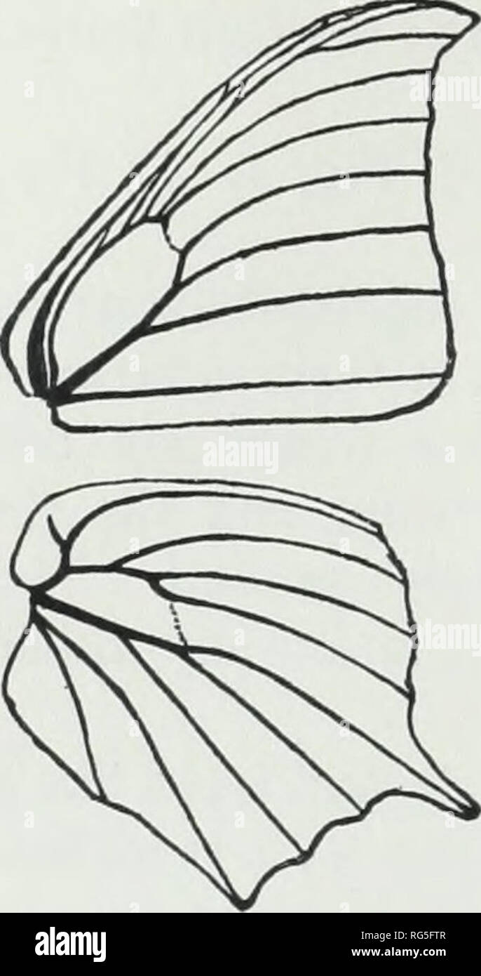 . The butterfly book : a popular guide to a knowledge of the ...