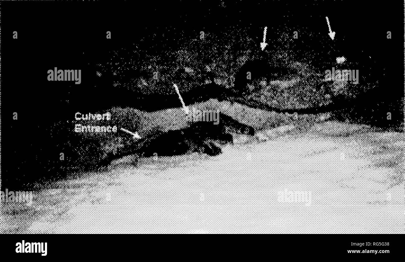 . Monitoring animal use of modified drainage culverts on the Lolo South ...