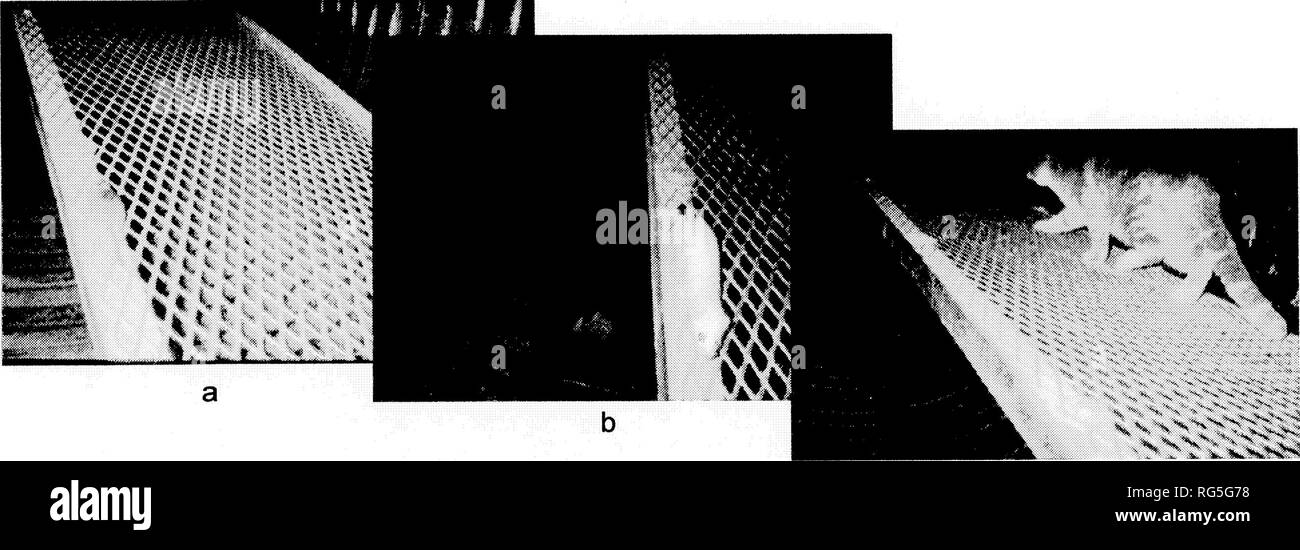 Drainage culverts Black and White Stock Photos & Images - Alamy