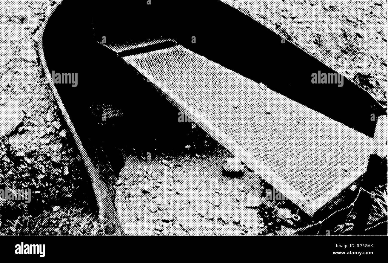 . Monitoring animal use of modified drainage culverts on the Lolo South ...