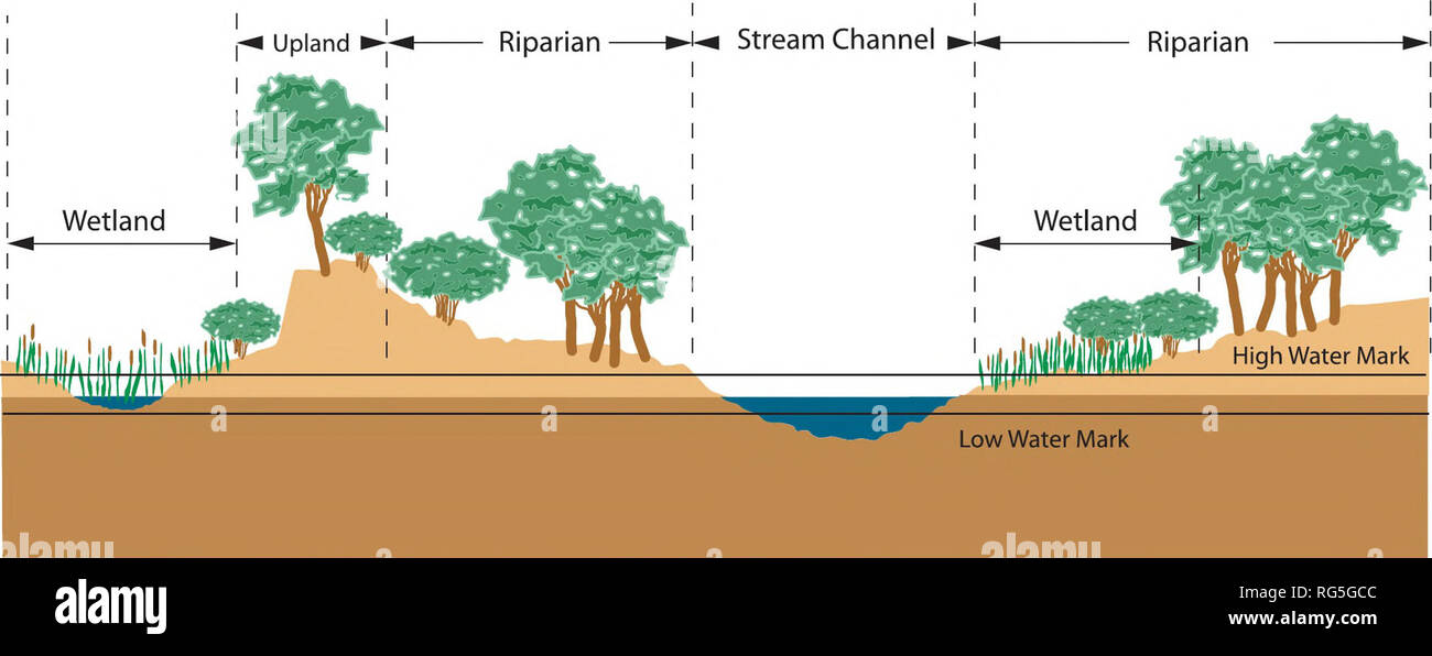 . A planning guide for protecting Montana's wetlands and riparian areas ...