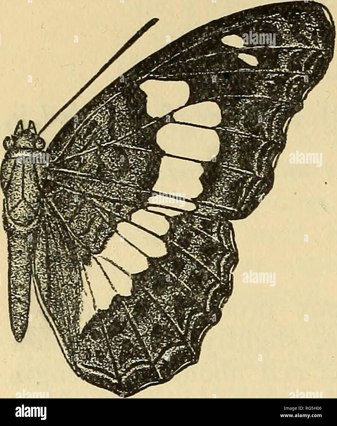 Short transverse lines hi-res stock photography and images - Alamy