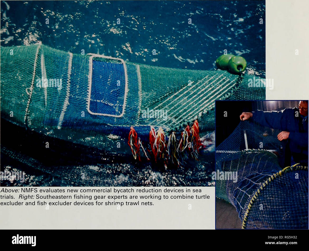 Turtle excluder devices hi-res stock photography and images - Alamy