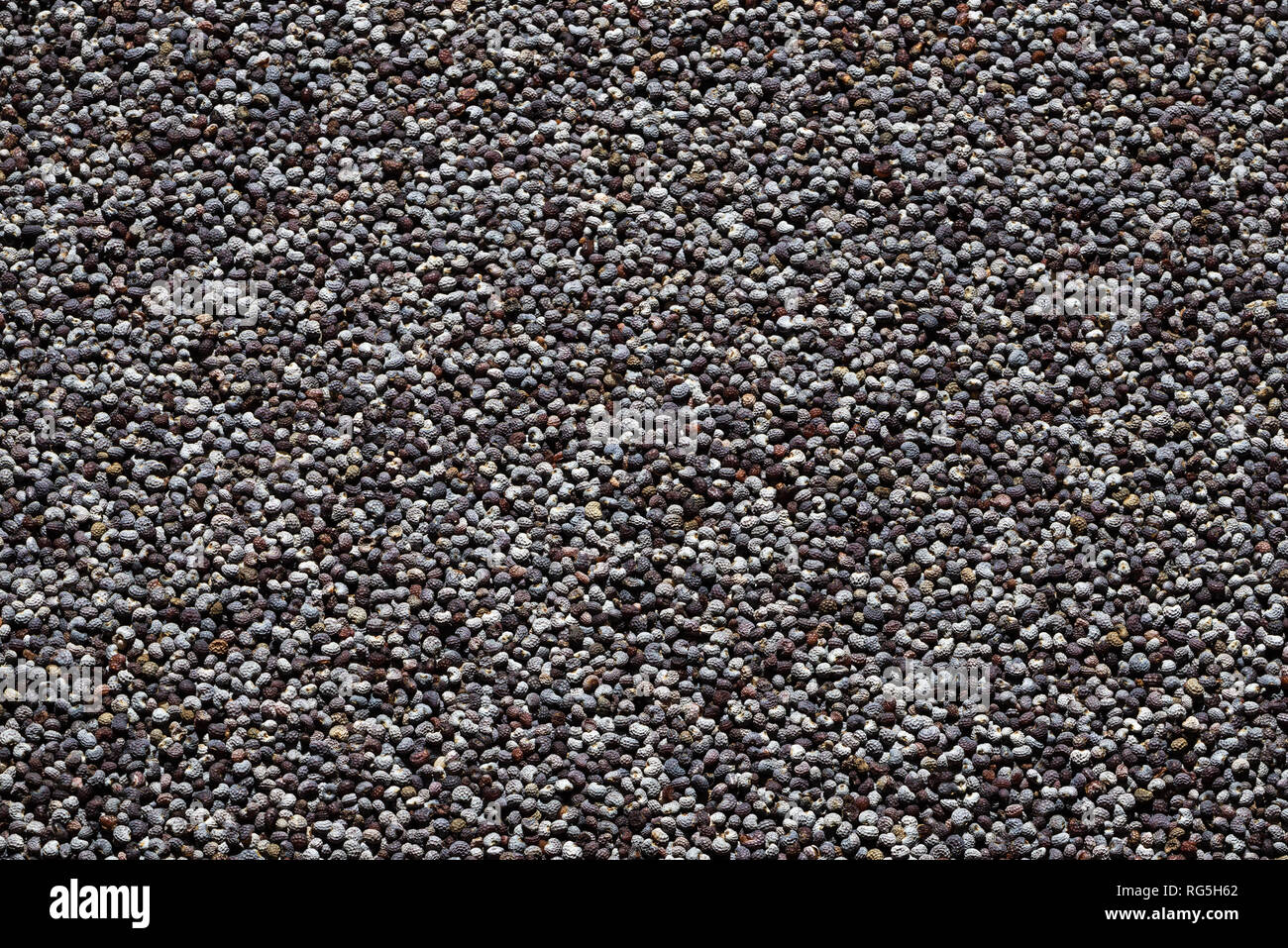 Blue poppy seed somniferum papaver background texture Stock Photo - Alamy