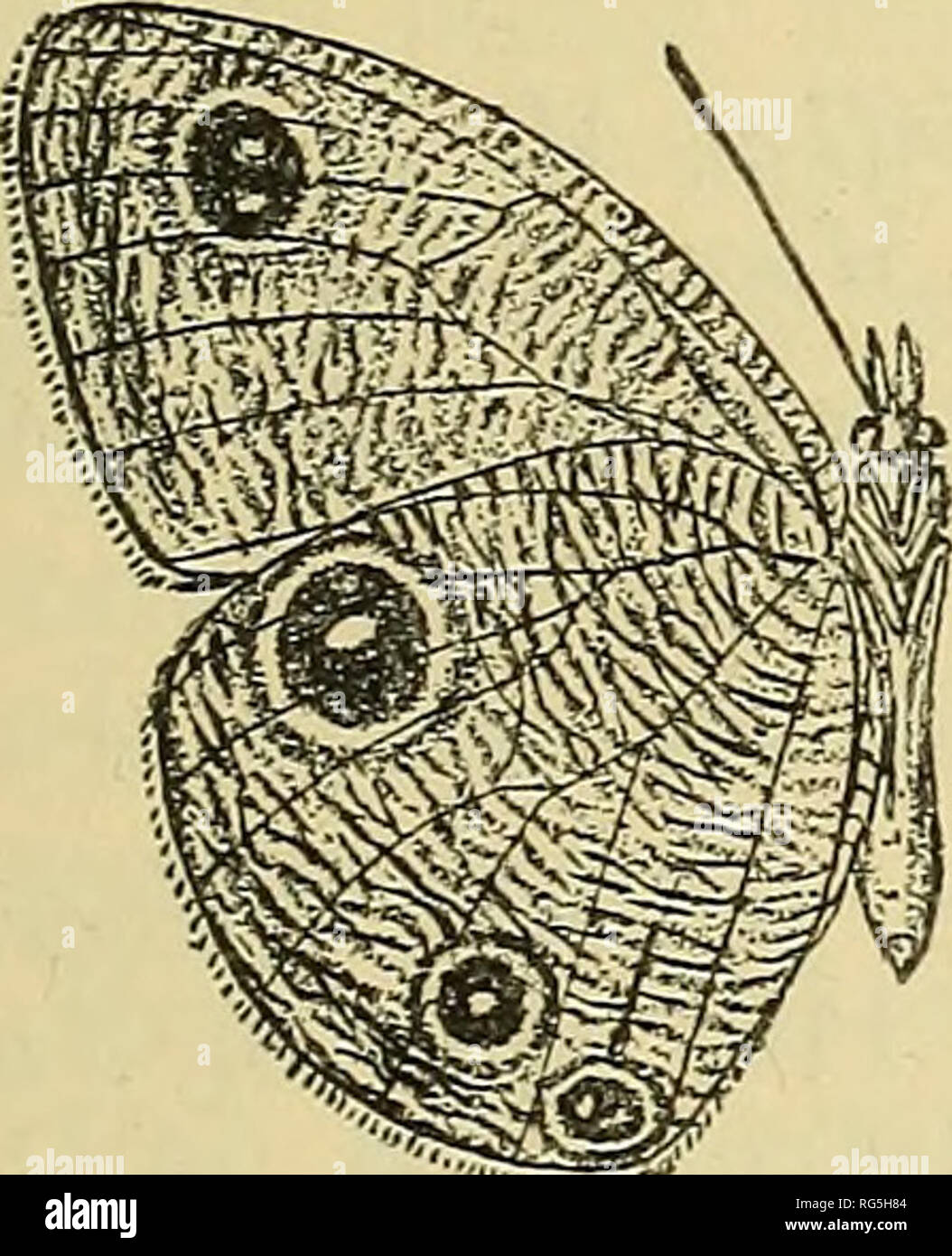 Uniformly spread hi-res stock photography and images - Alamy