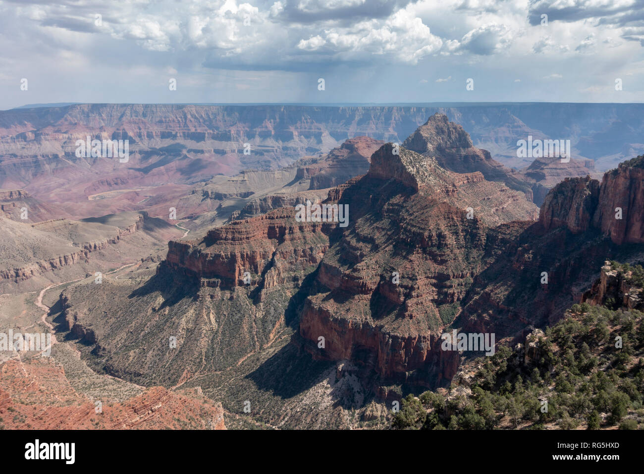 Grand Canyon viewed from Walhalla Overlook (looking approx east), Grand ...