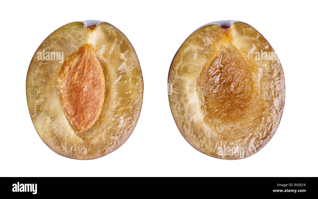 Halves of ripe plums isolated on white background, macro shot, front ...