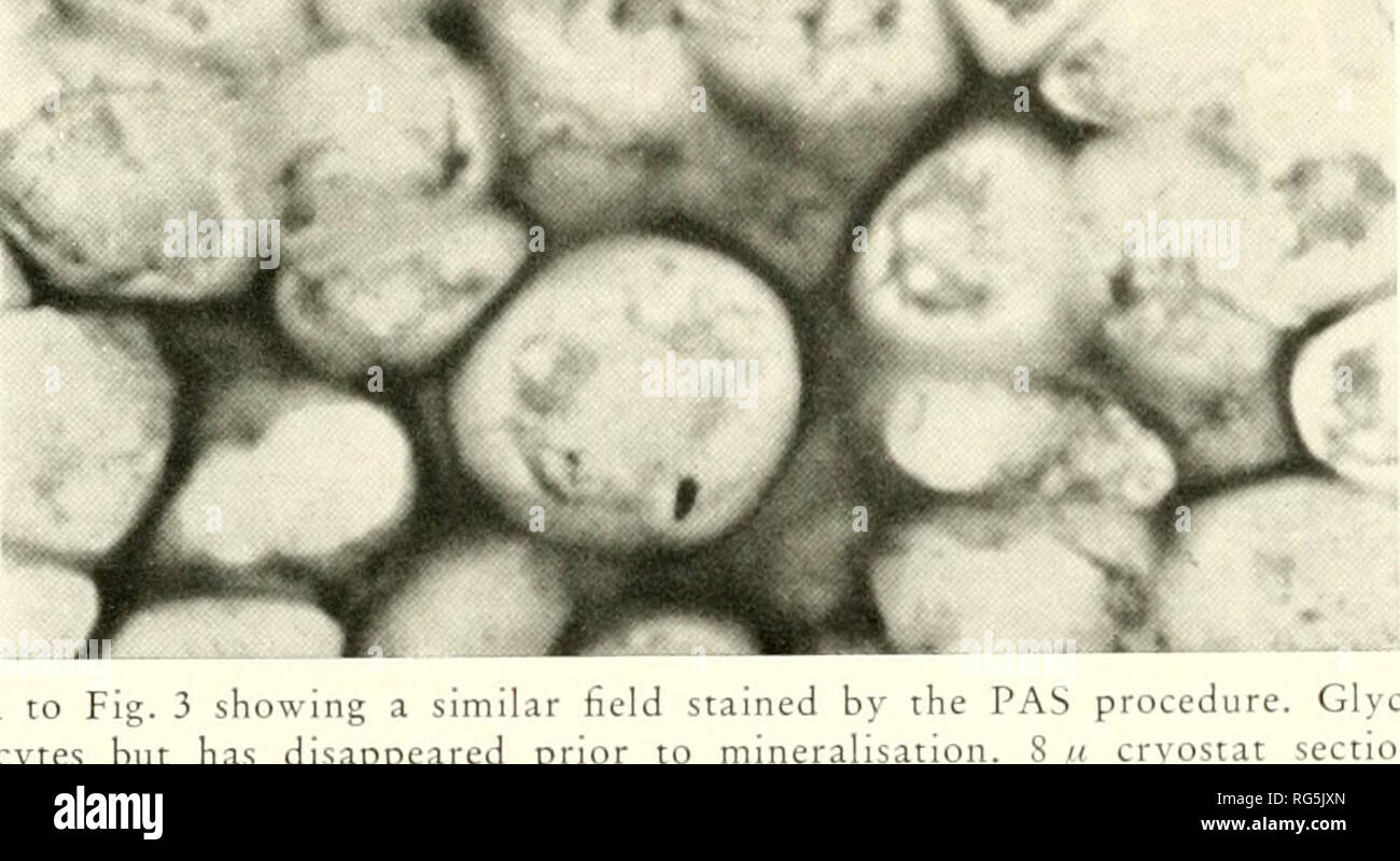 . Calcified tissues; proceedings. Bone; Collagen; Calcification ...