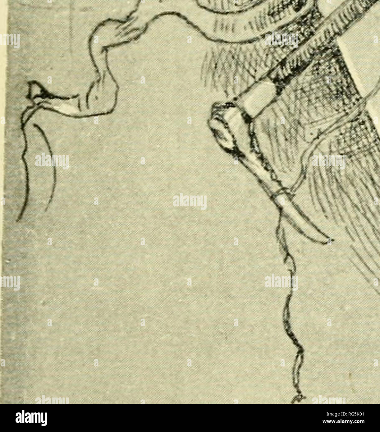 Sabretache High Resolution Stock Photography and Images - Alamy