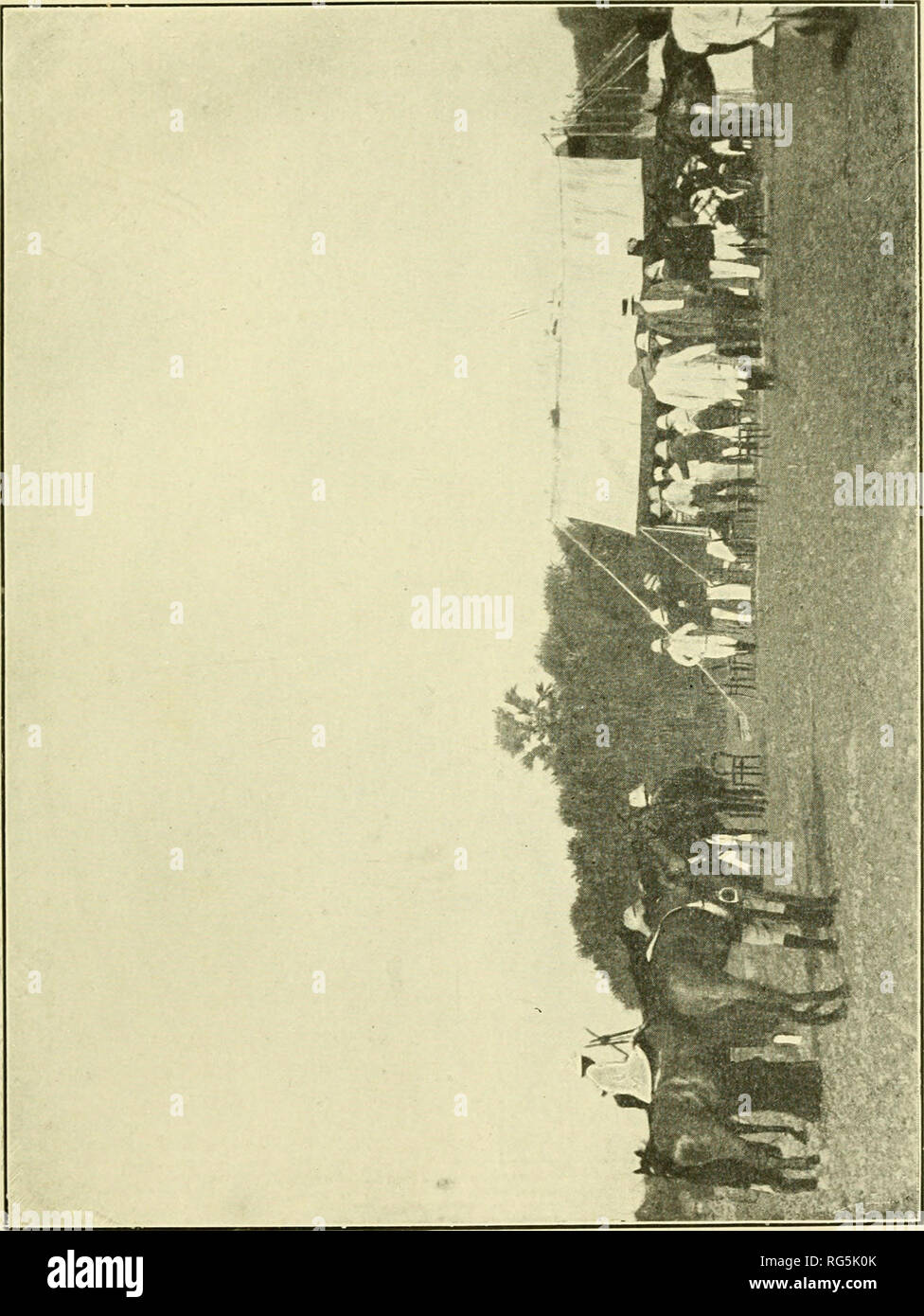 Sabretache hi-res stock photography and images - Alamy