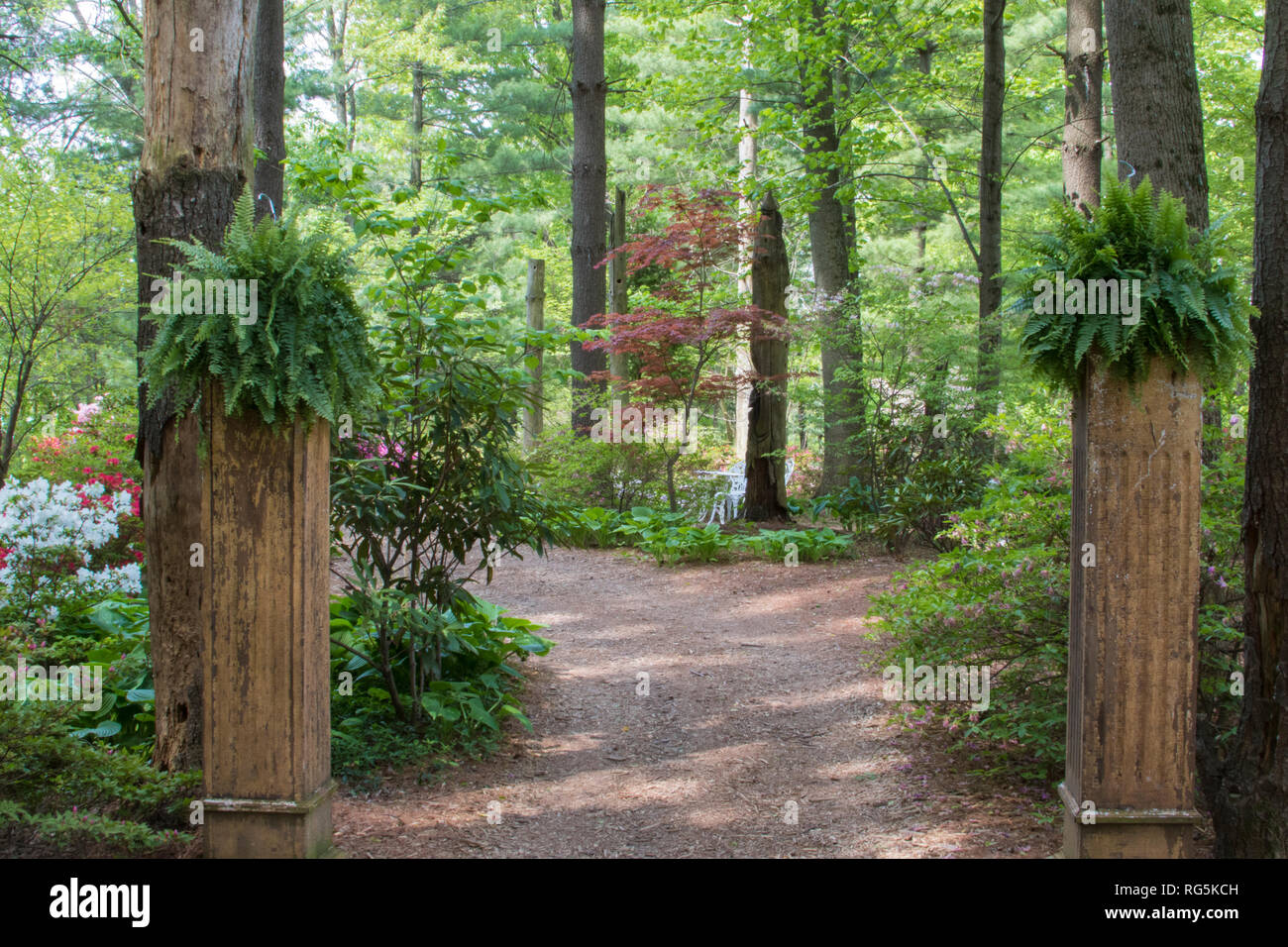 Azalea path arboretum and botanical gardens hi-res stock photography ...