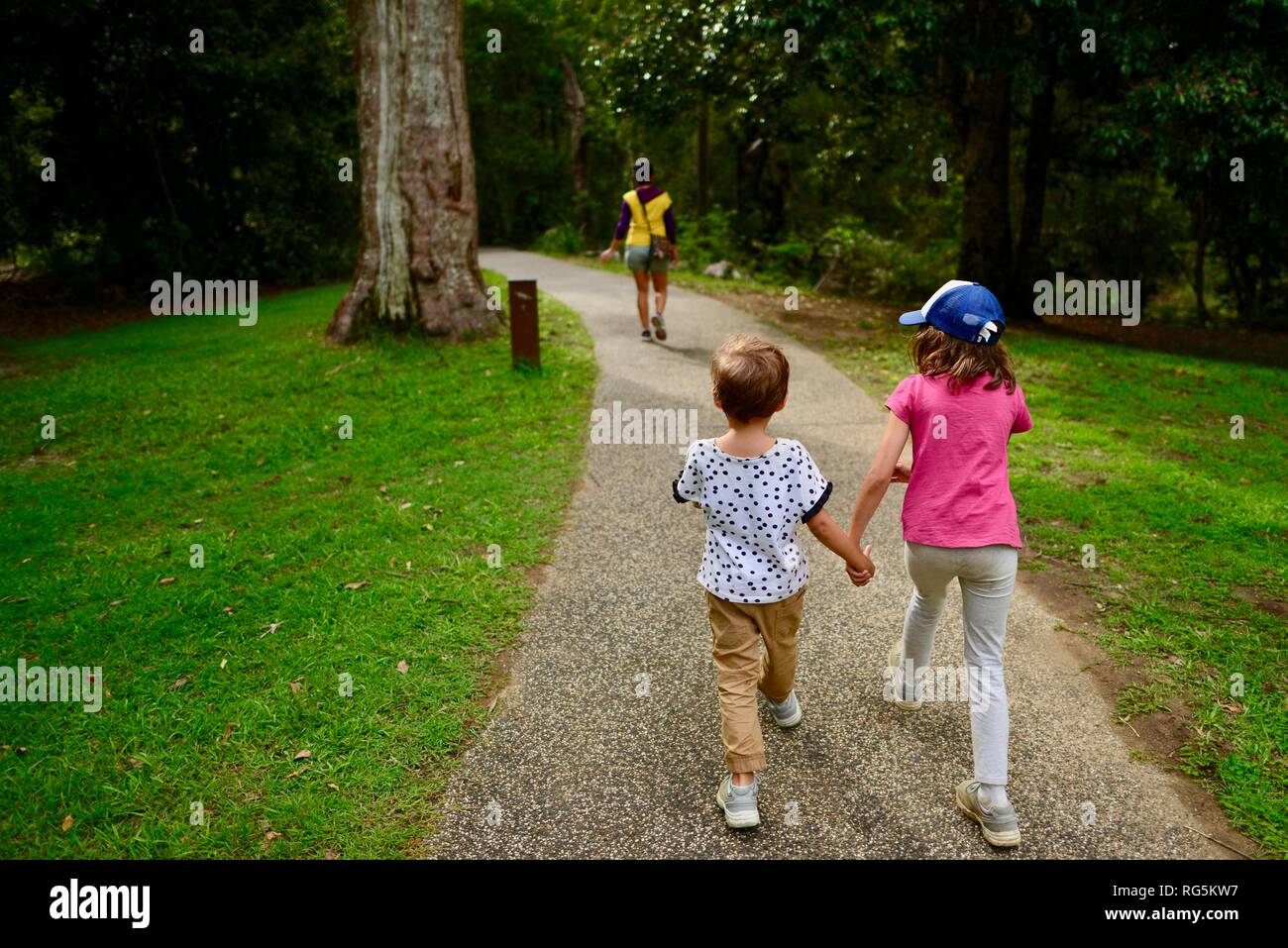 A mother and children walk along a path in a forest, Fern flat campsite ...