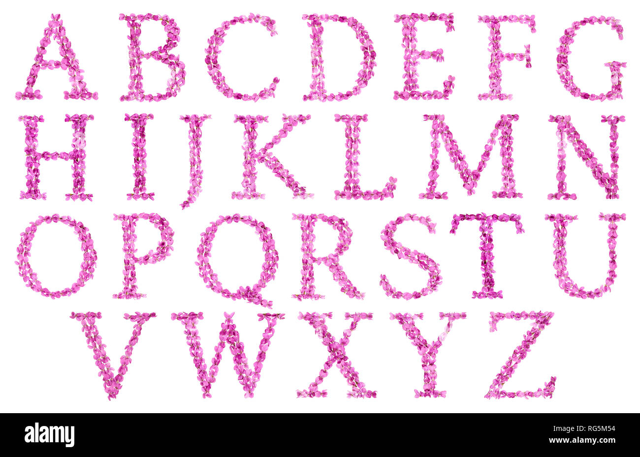Set of english alphabet letters from natural pink flowers of violet ...
