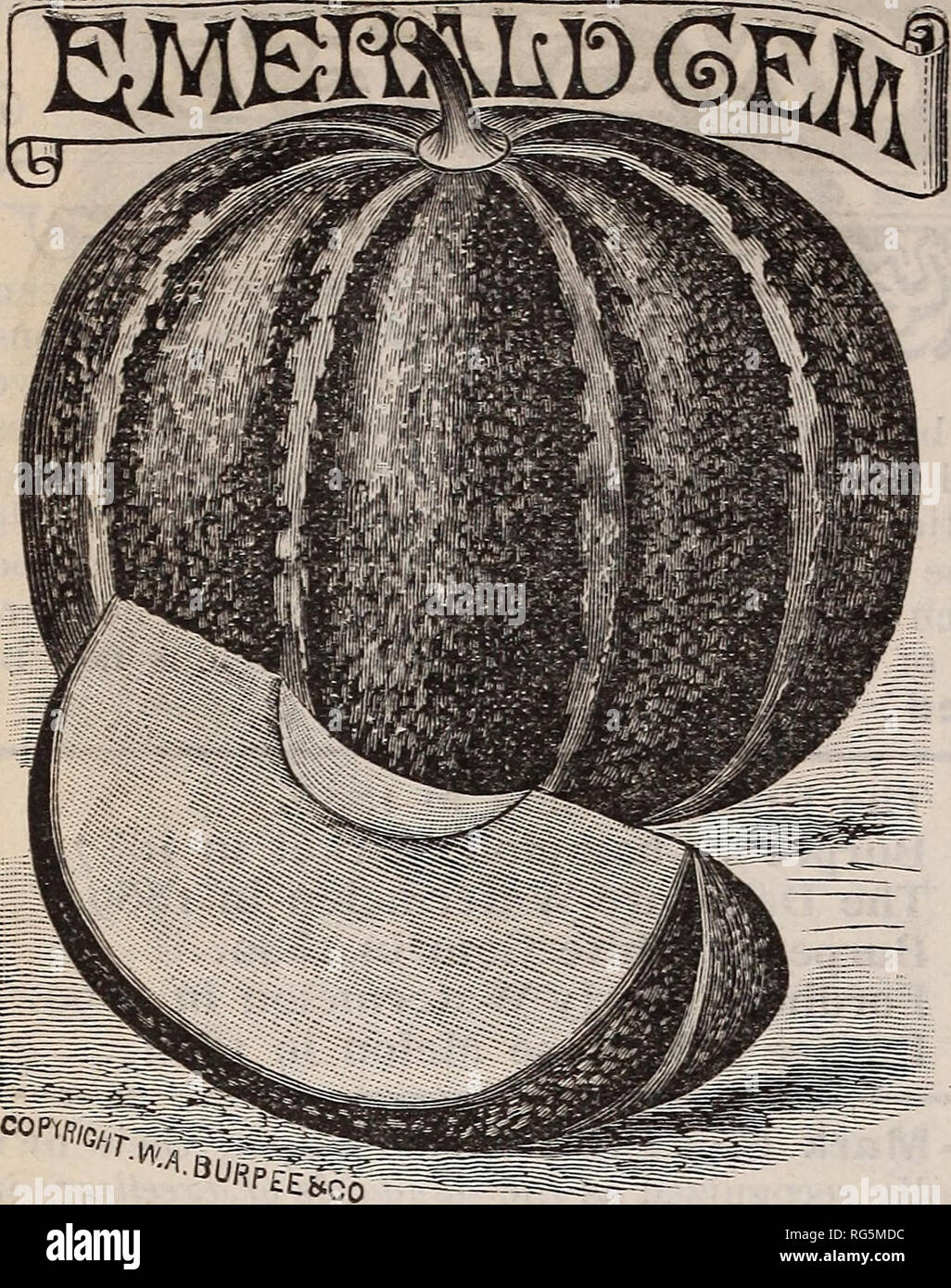 Oem philadelphia hi-res stock photography and images - Alamy