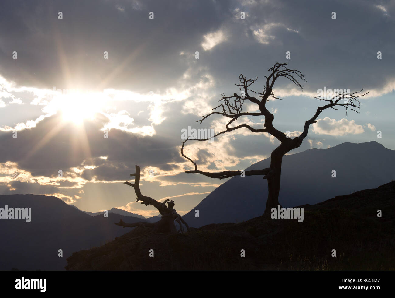 Crowsnest pass hi-res stock photography and images - Alamy