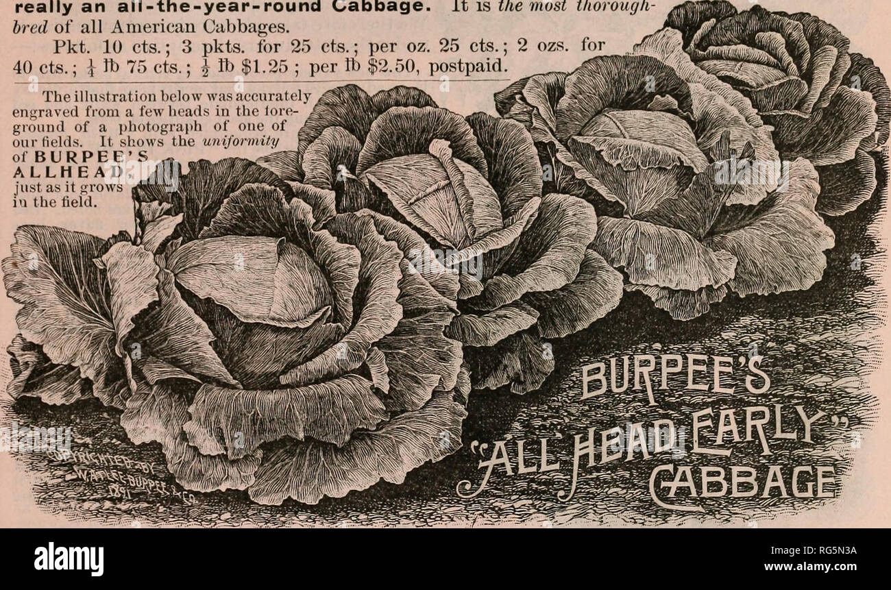 . Burpee's farm annual. Nursery stock Pennsylvania Philadelphia ...