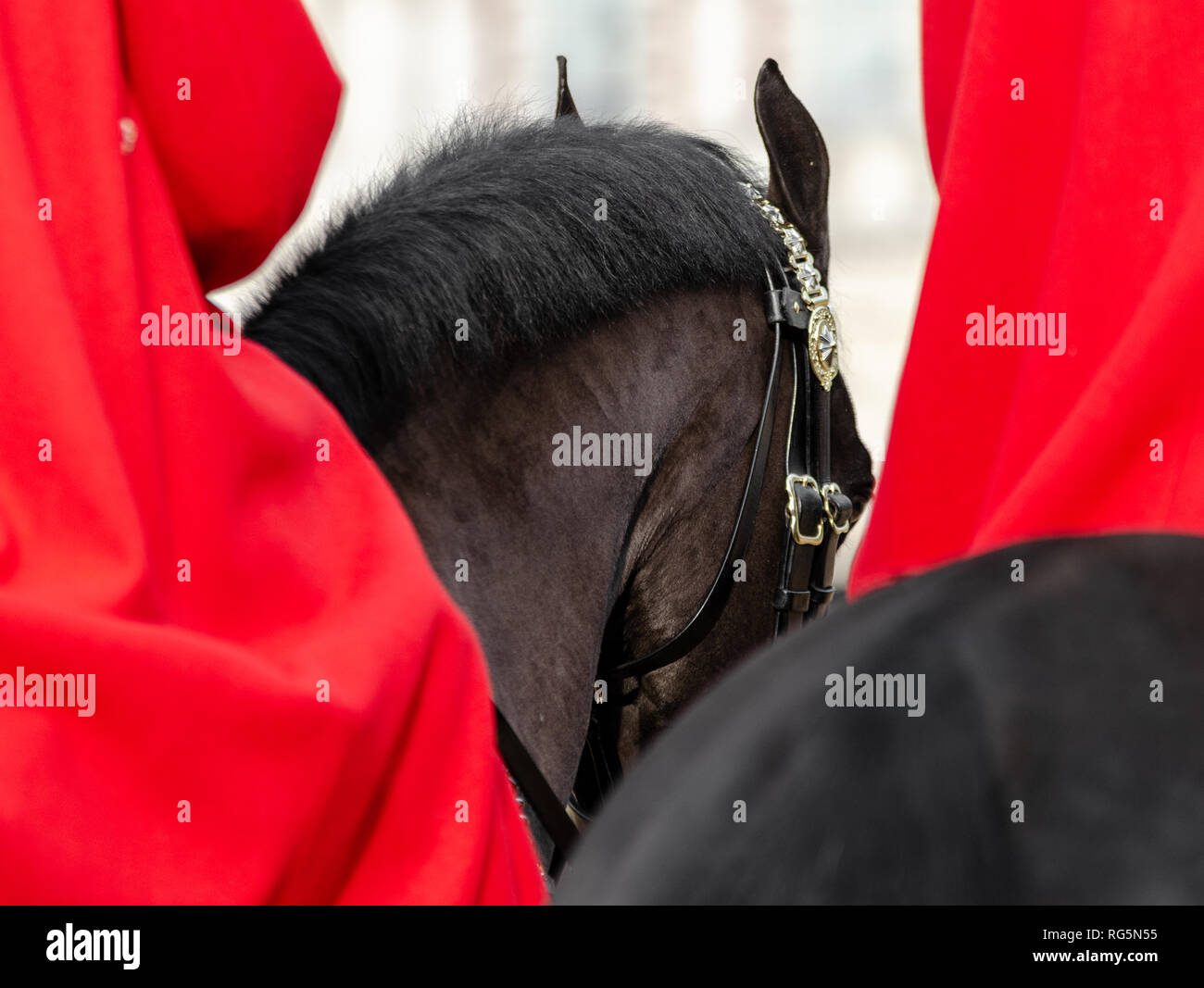 'The Queen's Life Guard', mounted on immaculately groomed horses with ...