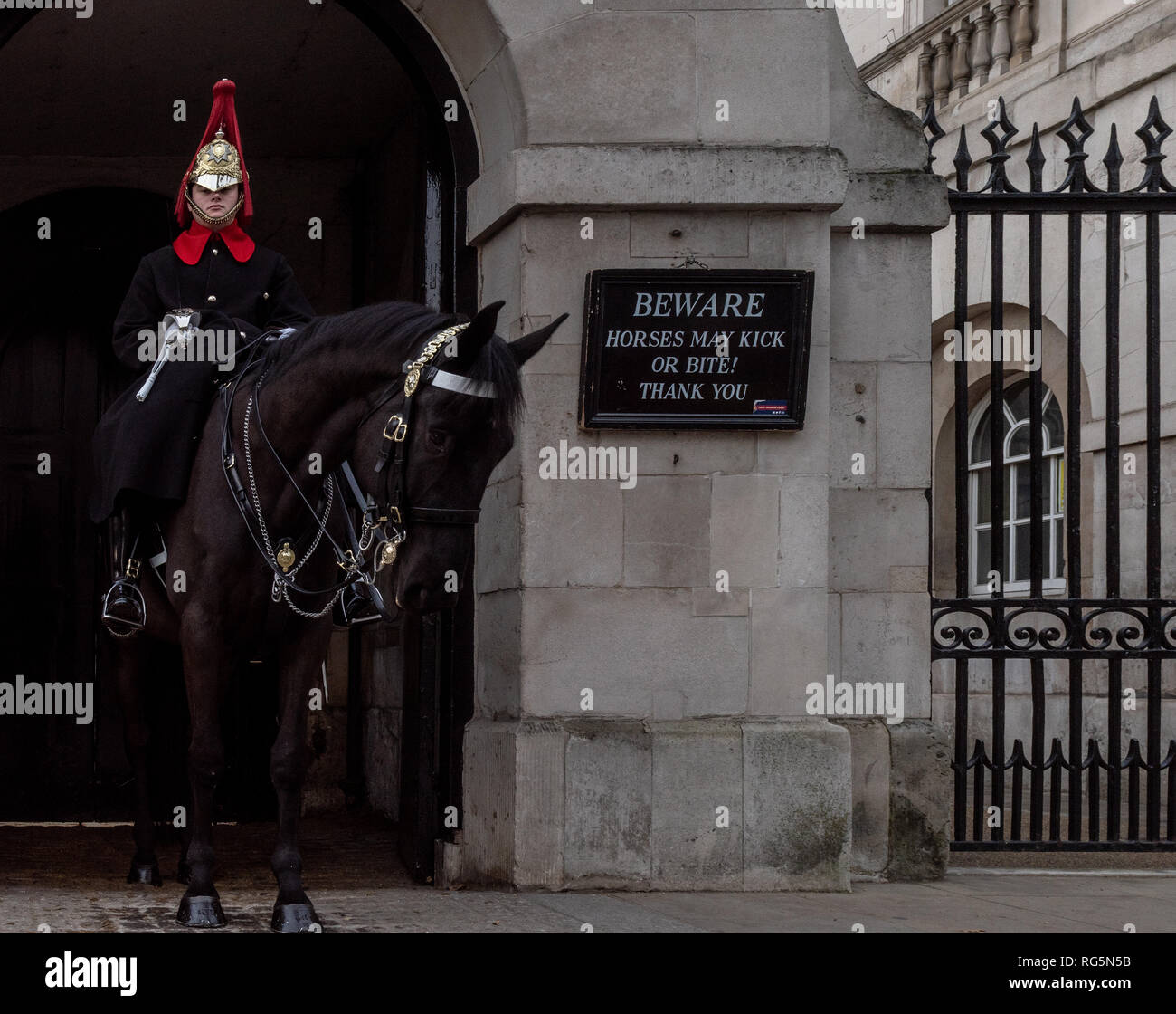 'The Queen's Life Guard', mounted on immaculately groomed horses with ...
