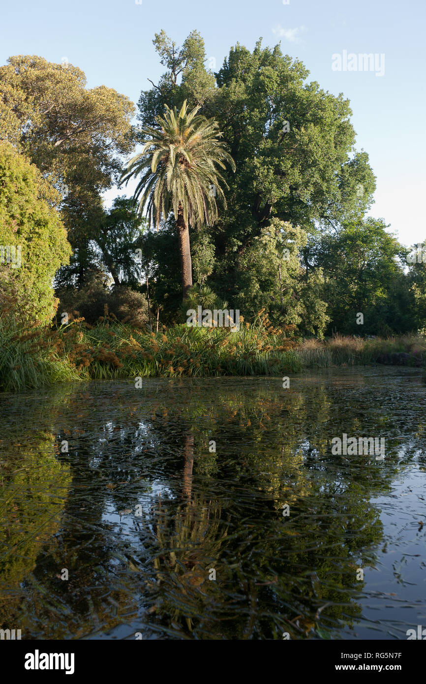 Swamp billabong water hi-res stock photography and images - Alamy