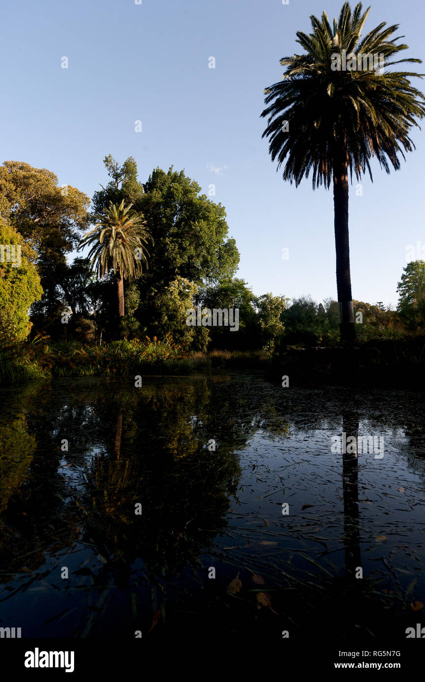Billabong lake hi-res stock photography and images - Alamy
