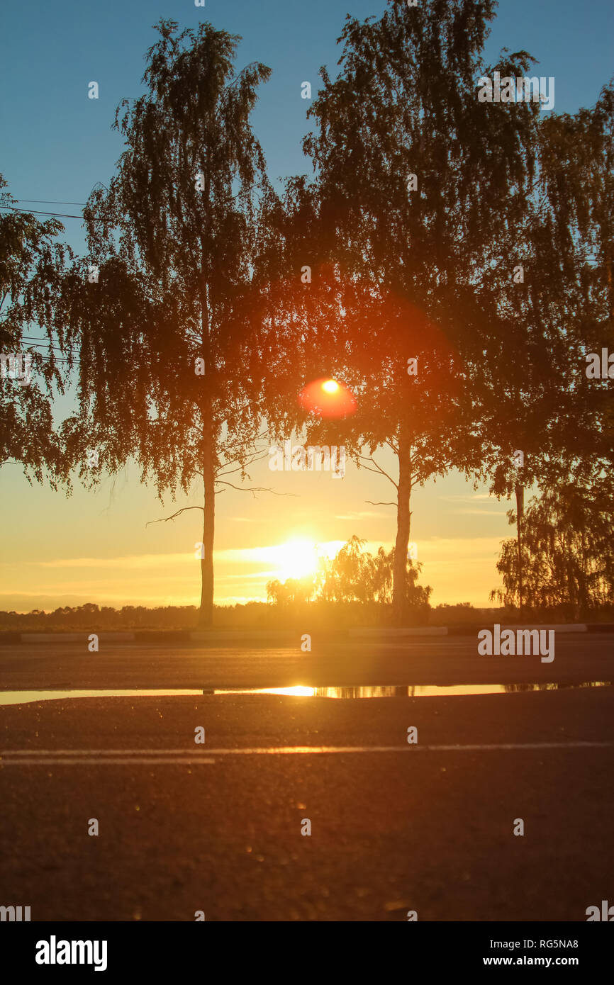 Deep morning dawn with highlights in the orange rays of the summer sun ...