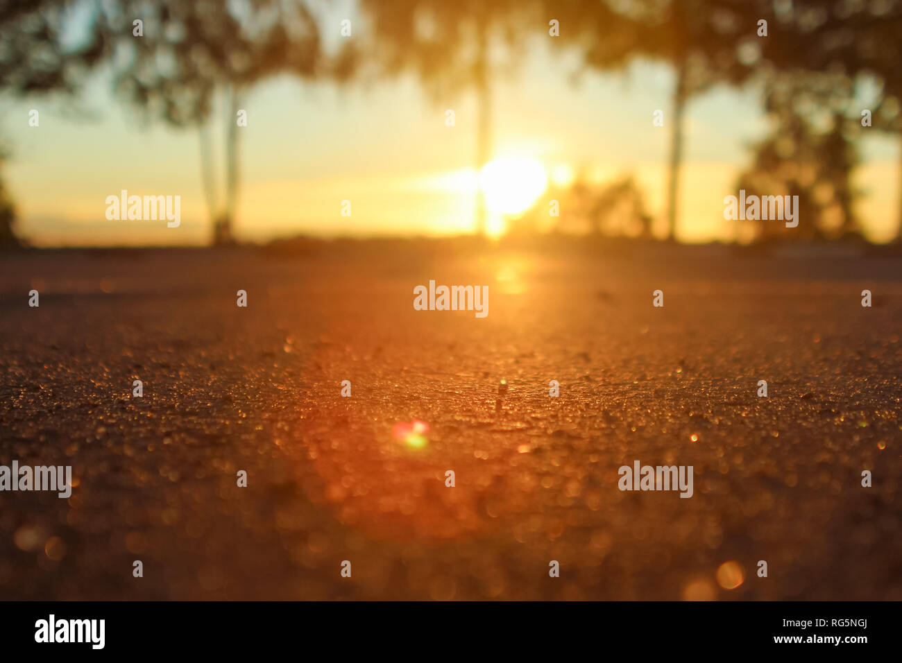 Deep morning dawn with highlights in the orange rays of the summer sun ...