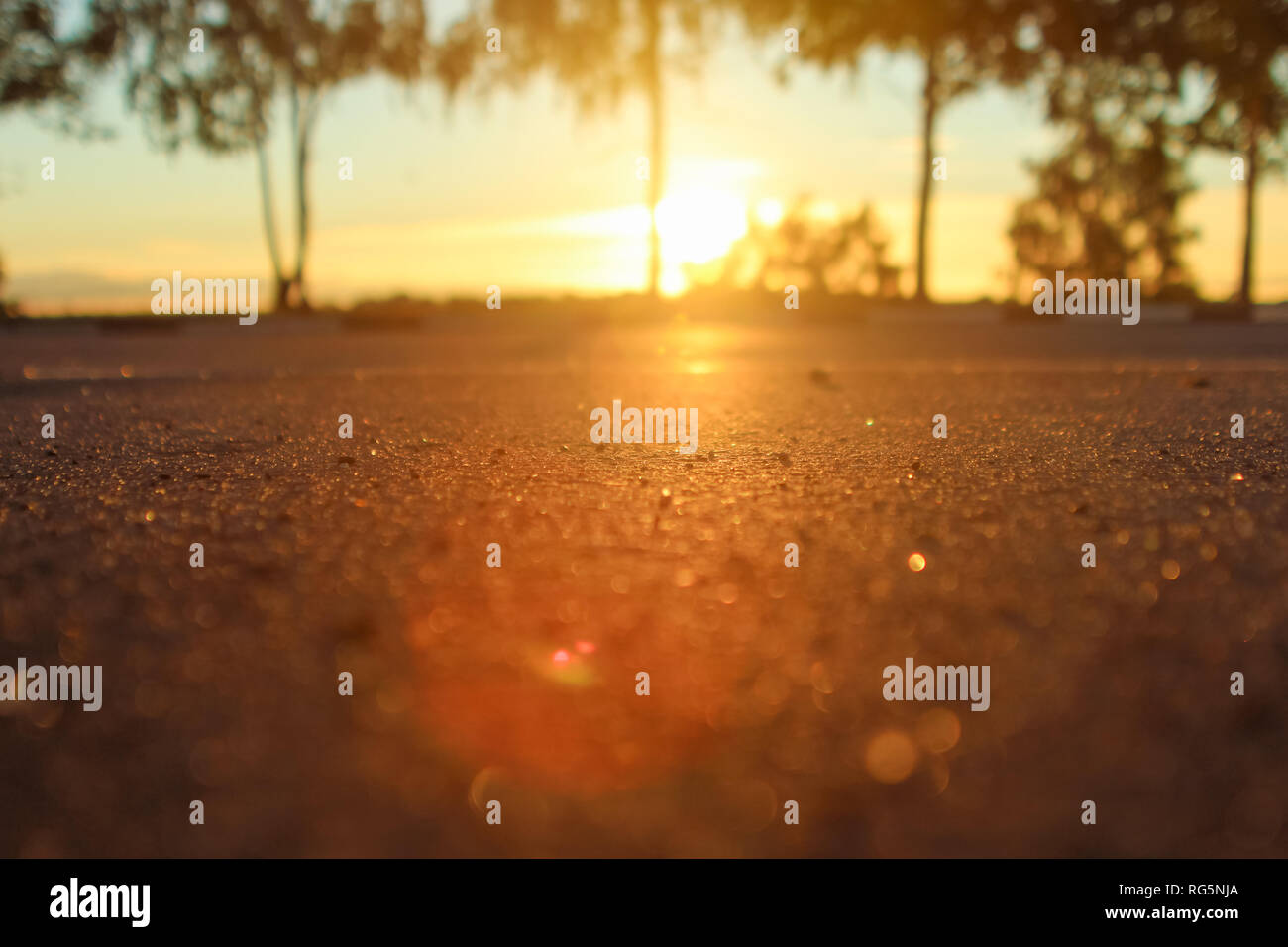 Deep morning dawn with highlights in the orange rays of the summer sun ...